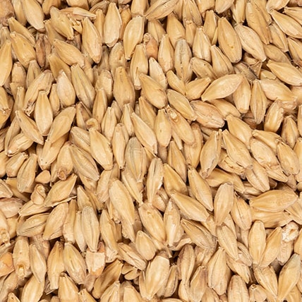 Ireks Malt Pilsner Malt – AgronetBrewing